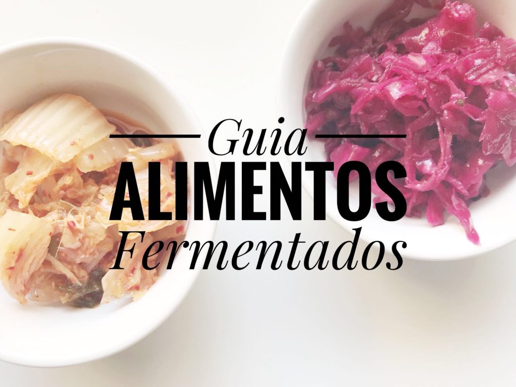 Fermented Food Guide | Guia de Alimentos Fermentados - Fernanda Mello